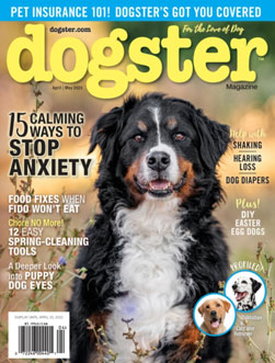 Magazine Gold
